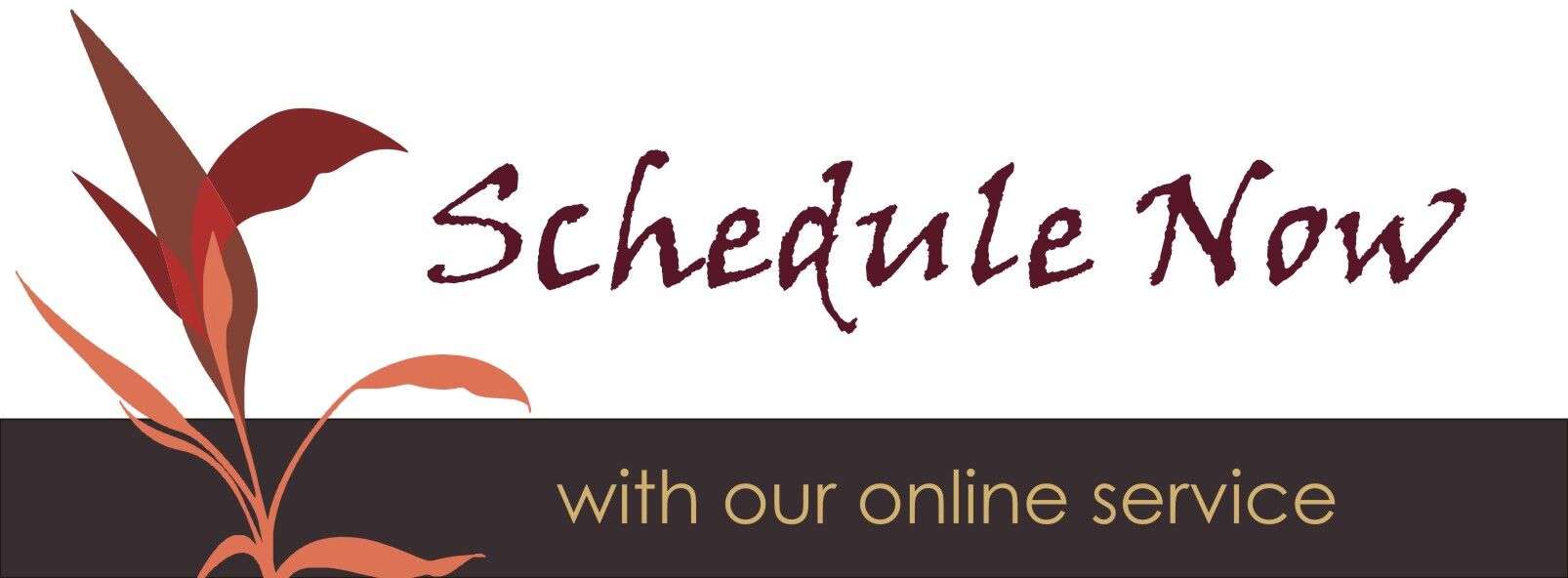 Book Online with our Salon